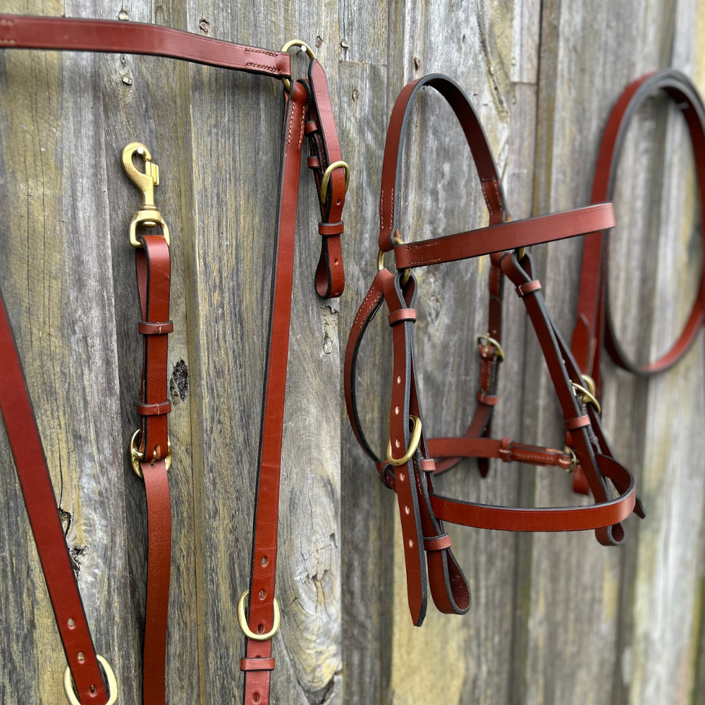 Australian Made Leather Stock Bridle – Double C Saddlery Australia